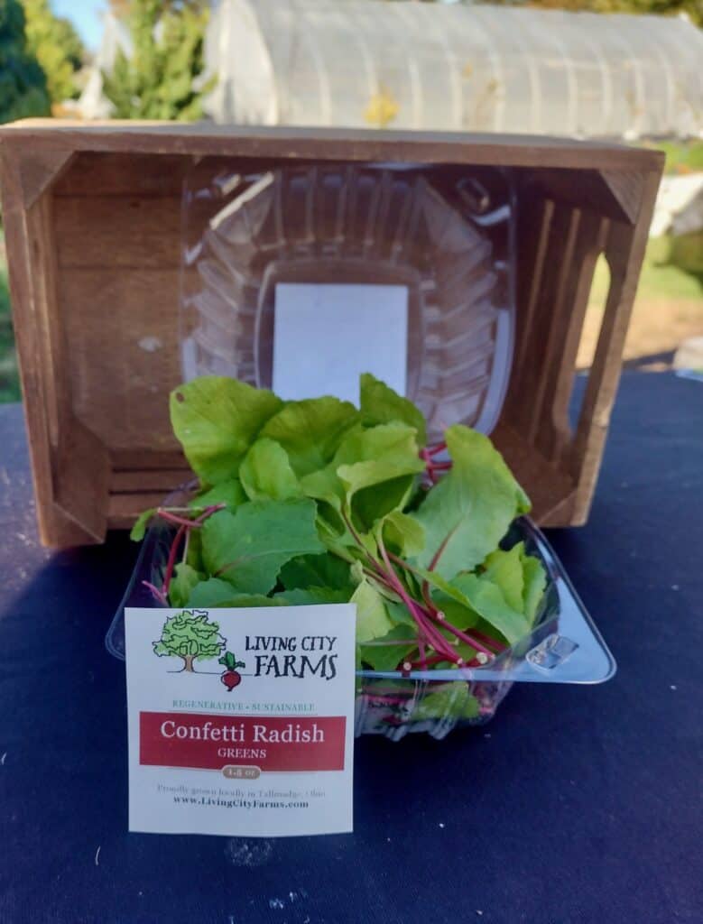 Confetti Radish Greens' - Living City Farms