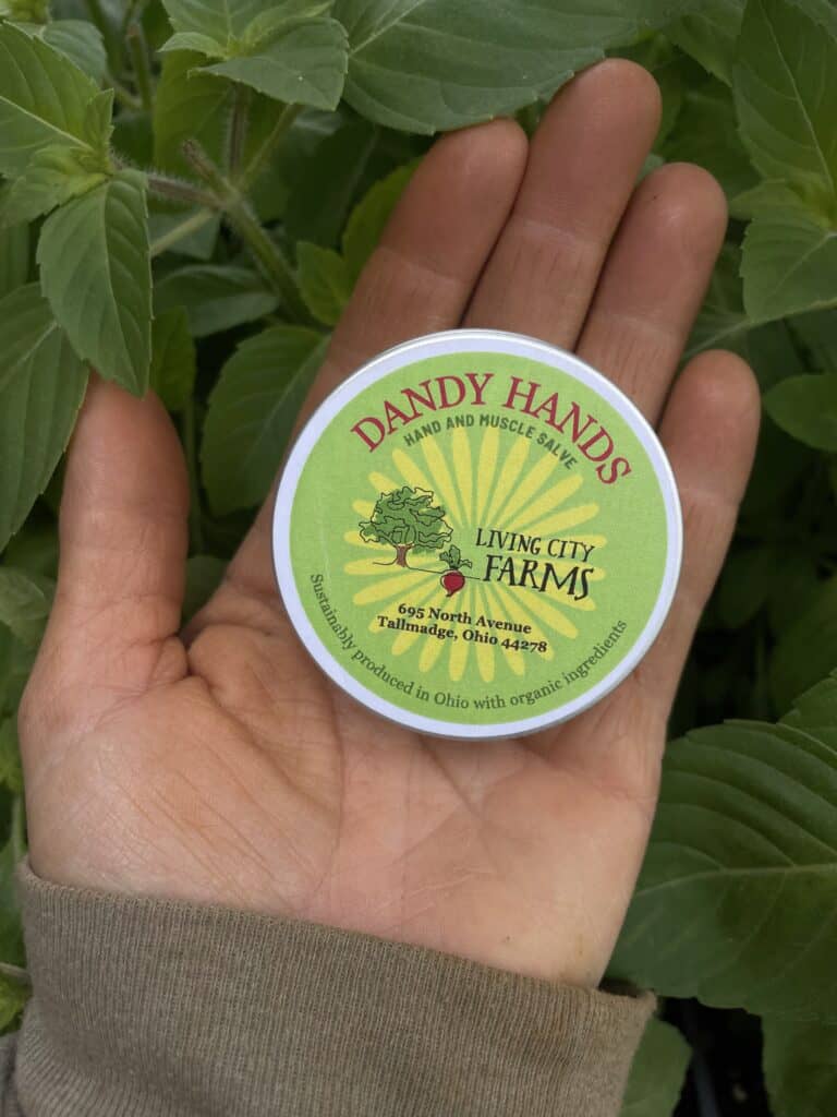 Dandy Hands - Living City Farms
